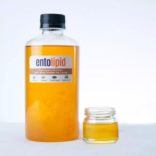 New Black Soldier Fly Oil Production Batch Ready for Aquafeed and ...